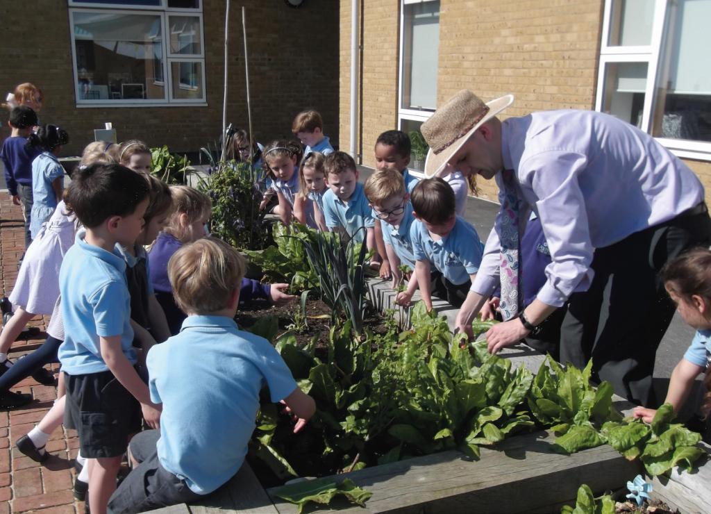 See the benefits of getting your school engaged with the environment ...